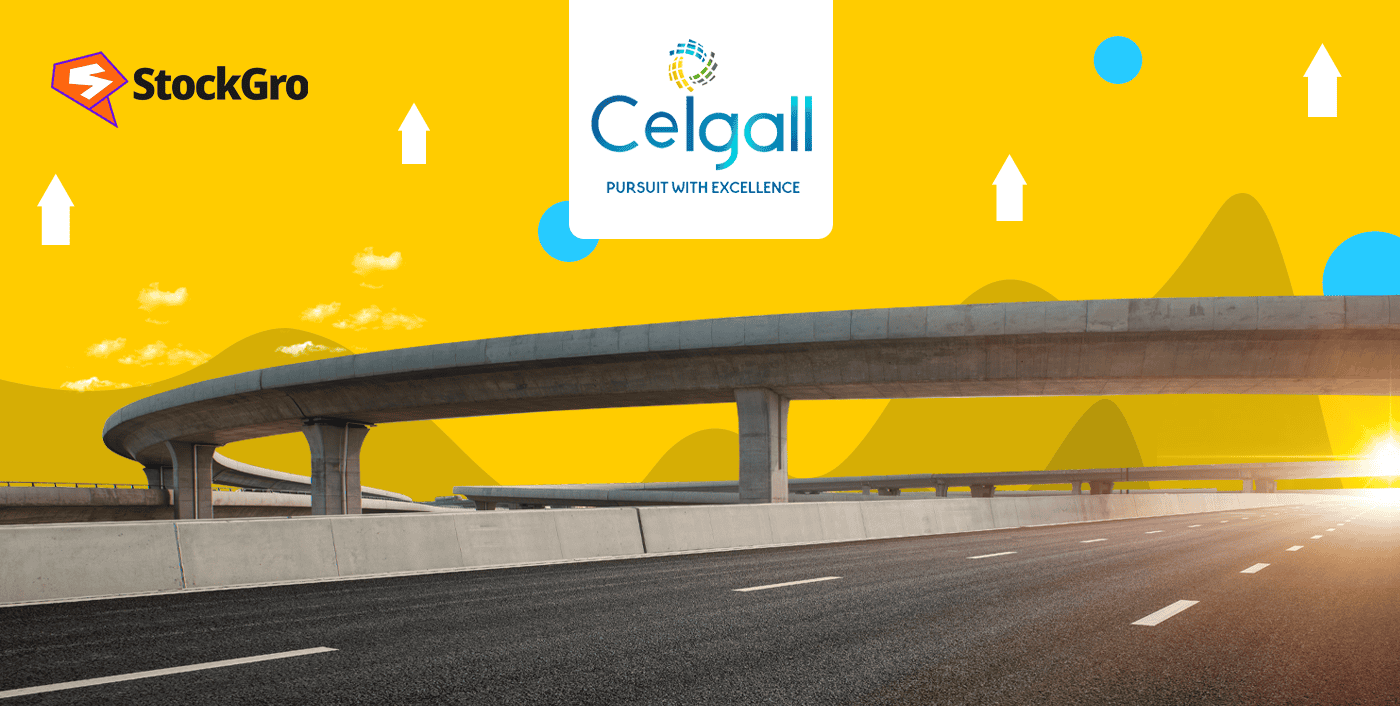 Ceigall India stock rises in FY25 Q1
