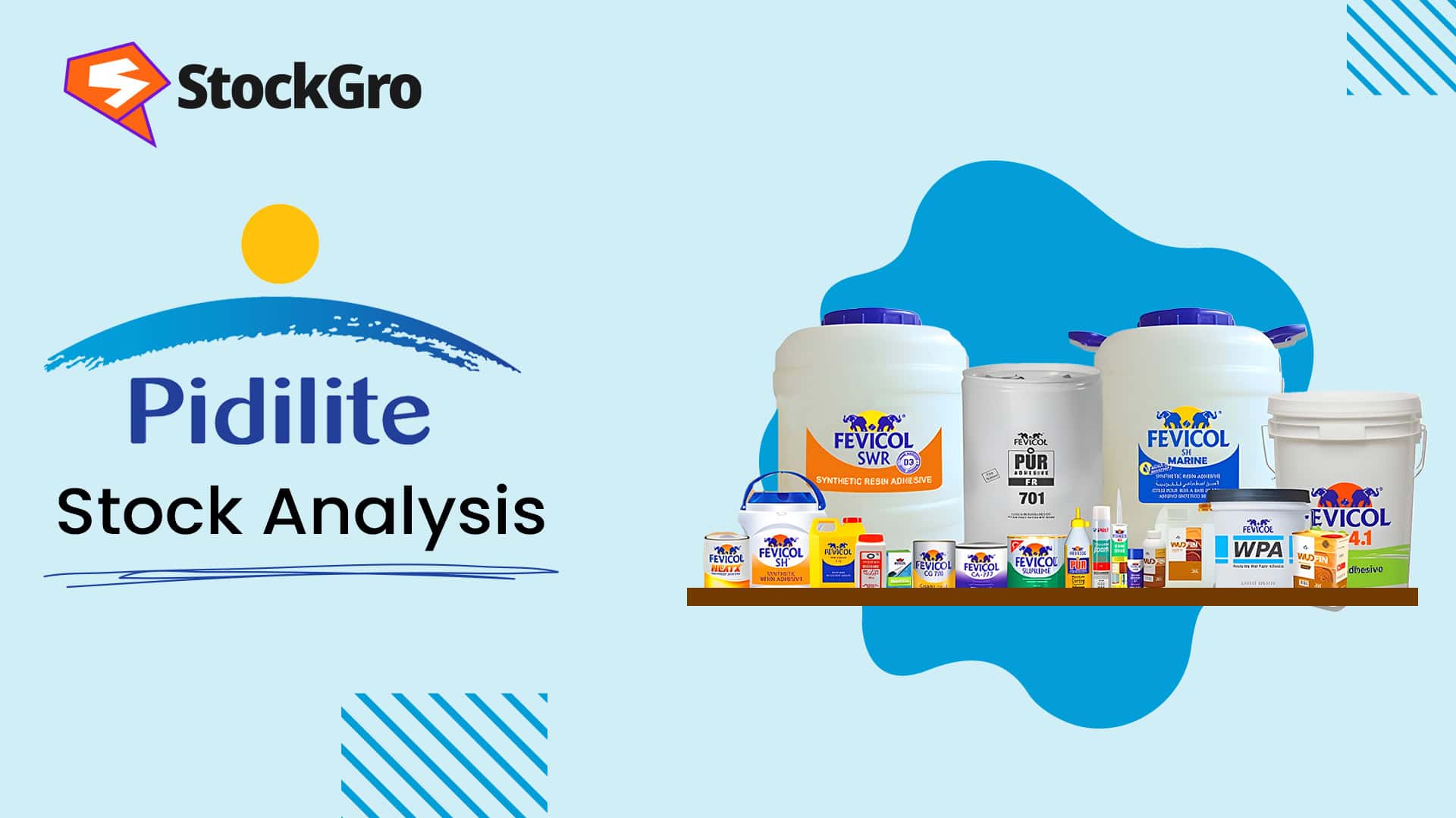 Pidilite Industries Stock Analysis by Sachin Kapoor, CFA (SEBI RIA)